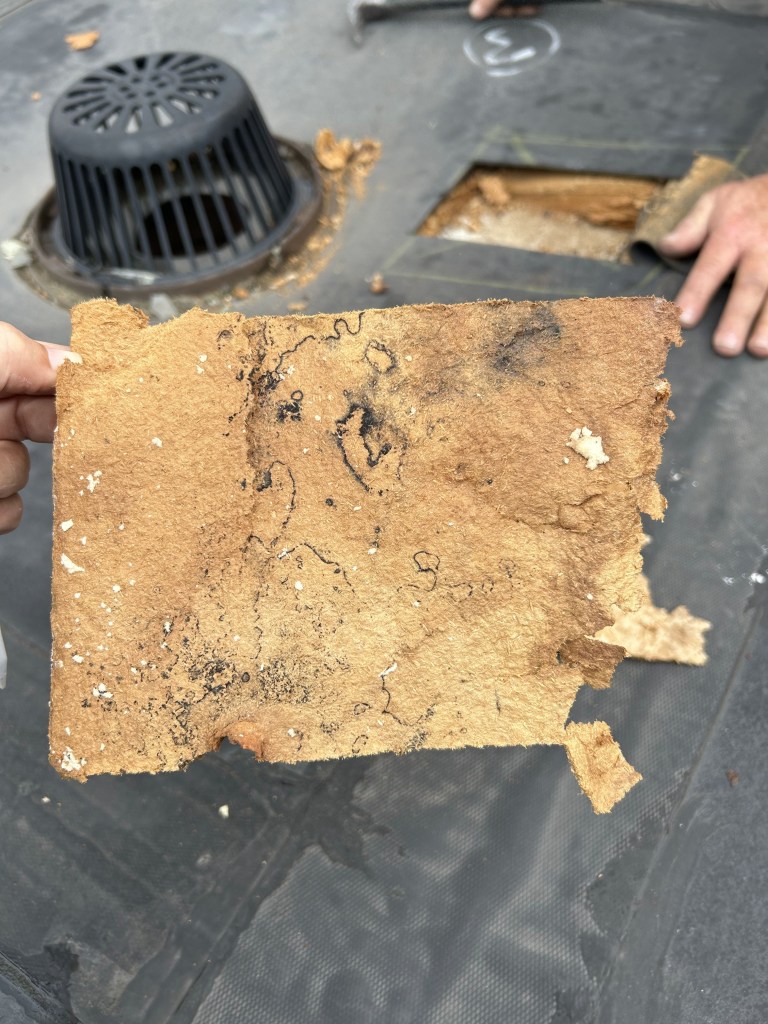 Laboratory Roof Replacement and Facade Restoration - Copeland Building ...